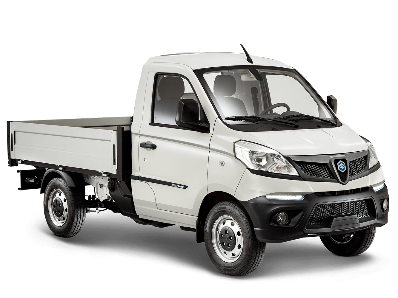 Piaggio NP 6 » BEHREND SGT